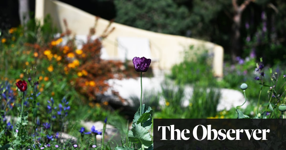 ‘It brings you in and shelters you’: NHS creates ‘recovery gardens’ for ...